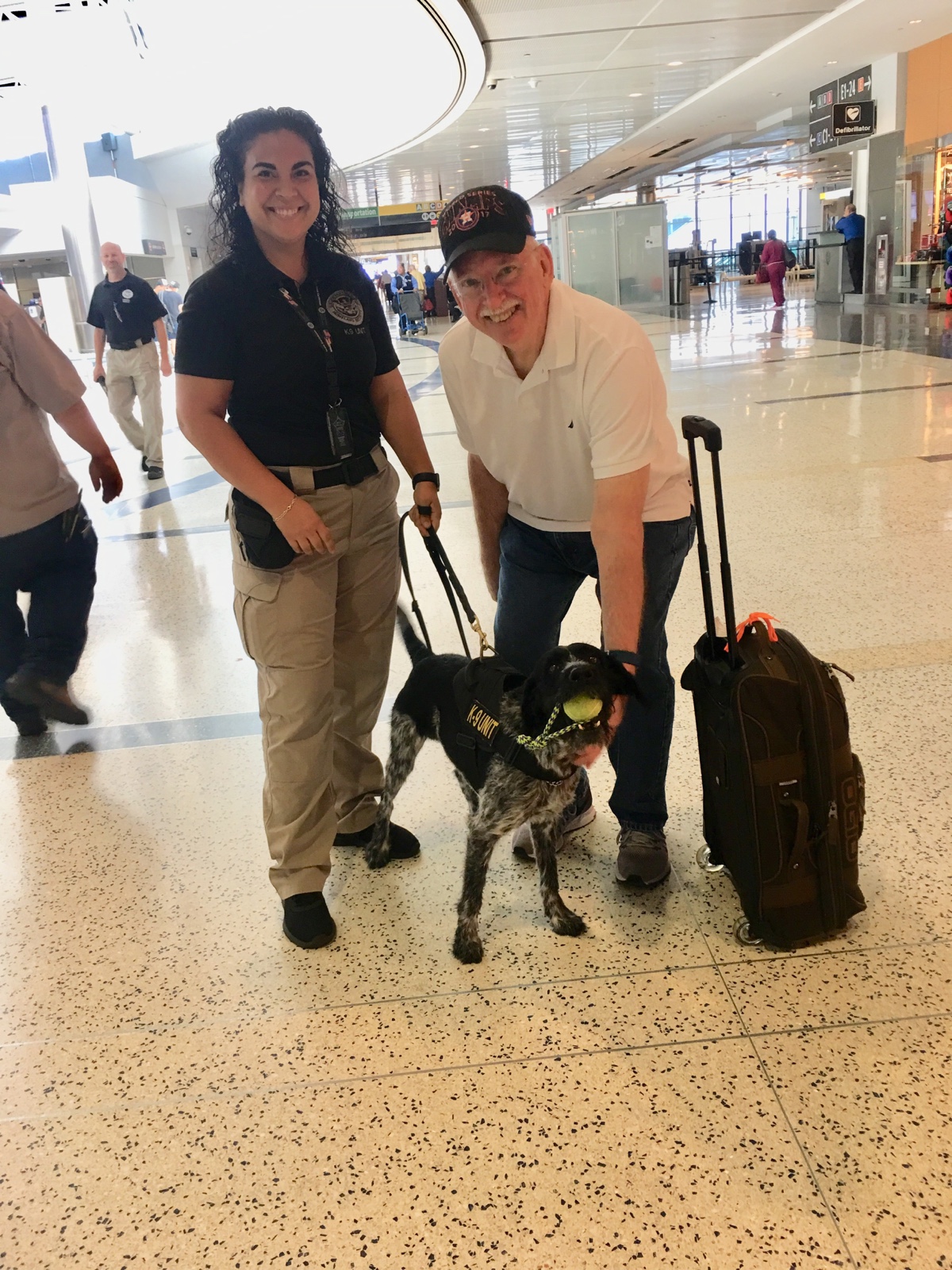 Volunteers Needed To Help Train Homeland Security K-9s